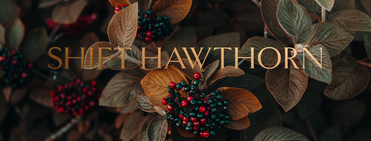 Absolutely Ethical Handcrafted Goods – Shift Hawthorn